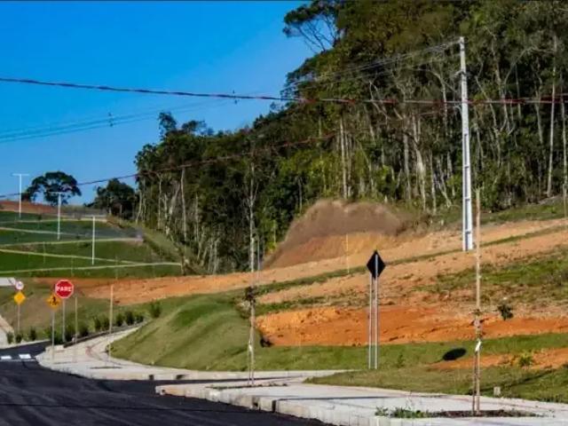 Terreno / Lote para Venda em Timbó/SC Vila Germer