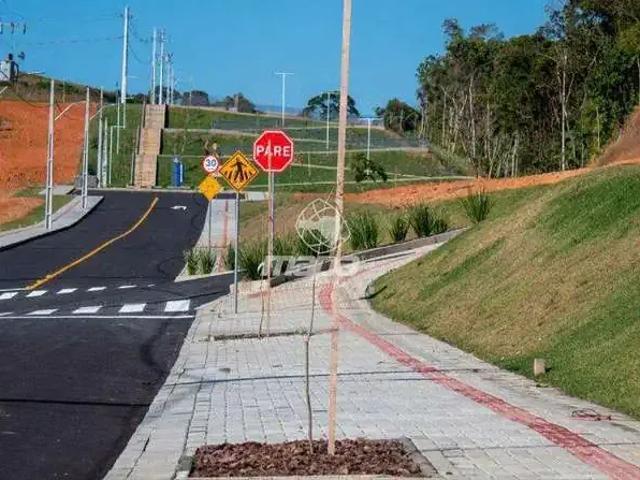 Terreno / Lote para Venda em Timbó/SC Vila Germer