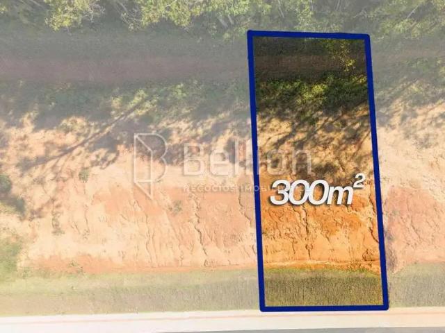 Terreno / Lote para Venda em Timbó/SC Vila Germer