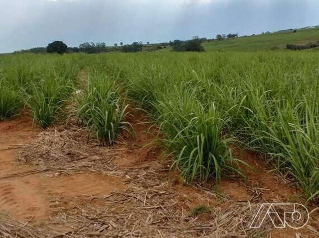Terreno / Lote para Venda em Tietê/SP Centro