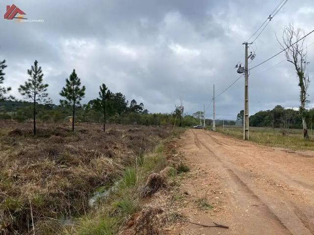 Terreno / Lote para Venda em Tijucas do Sul/PR Campo Alto
