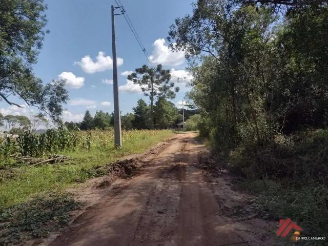 Terreno / Lote para Venda em Tijucas do Sul/PR Campo Alto