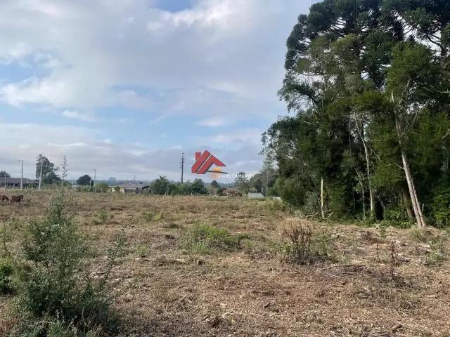 Terreno / Lote para Venda em Tijucas do Sul/PR Campo das Flores
