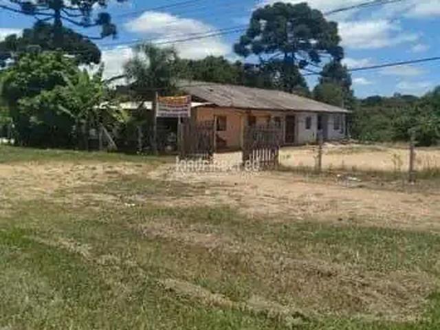 Terreno / Lote para Venda em Tijucas do Sul/PR Zona Rural