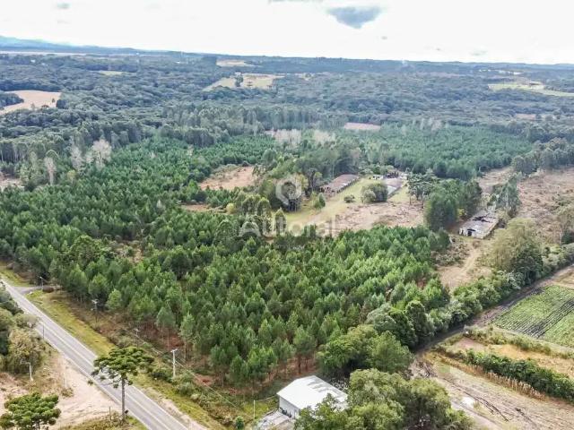 Terreno / Lote para Venda em Tijucas do Sul/PR Zona Rural
