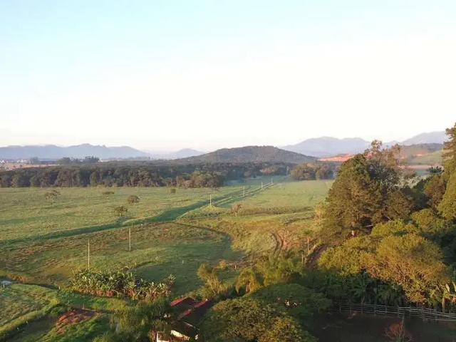 Terreno / Lote para Venda em Tijucas/SC Centro