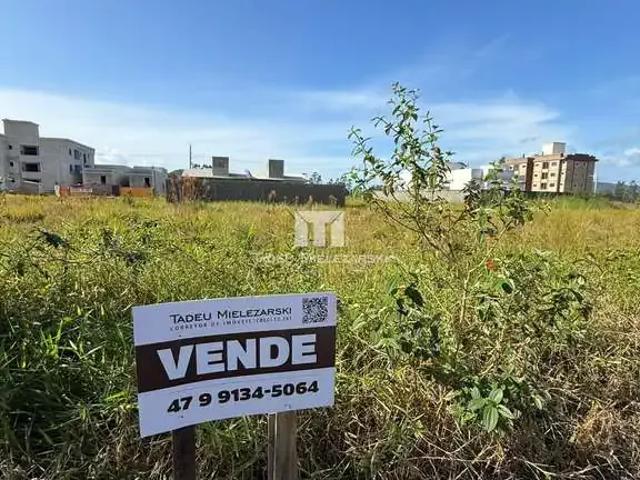Terreno / Lote para Venda em Tijucas/SC Bosque da Mata