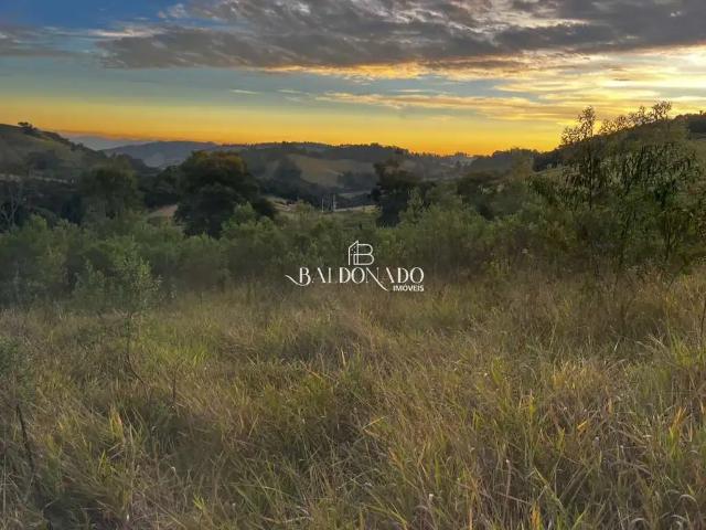 Terreno / Lote para Venda em Toledo/MG Centro