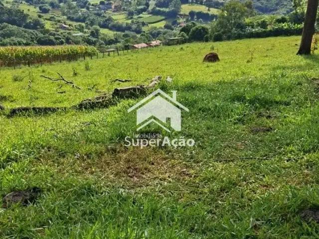 Terreno / Lote para Venda em Toledo/MG Centro