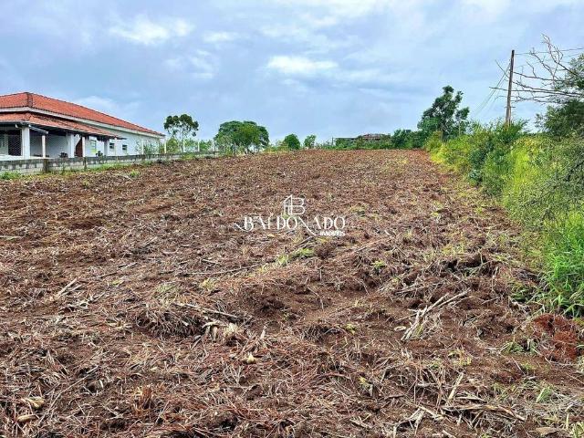 Terreno / Lote para Venda em Toledo/MG Centro