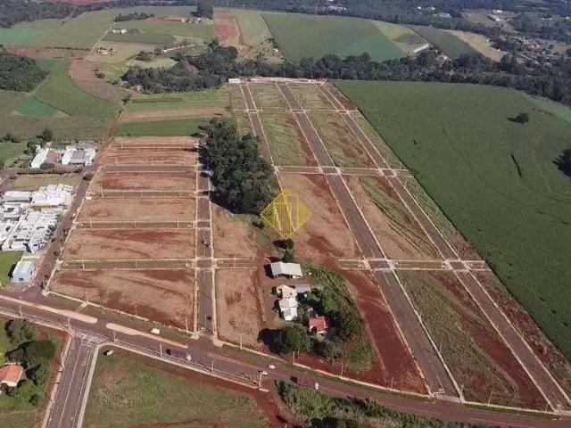 Terreno / Lote para Venda em Toledo/PR Tocantins