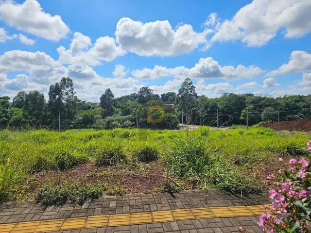 Terreno / Lote para Venda em Toledo/PR Tocantins