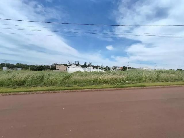 Terreno / Lote para Venda em Toledo/PR Tocantins