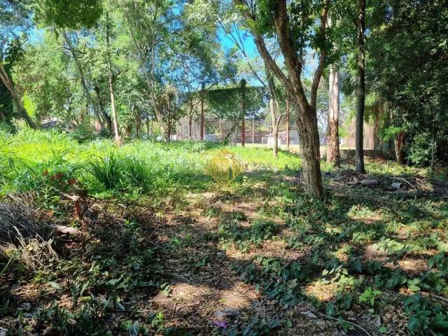 Terreno / Lote para Venda em Toledo/PR Vila Industrial