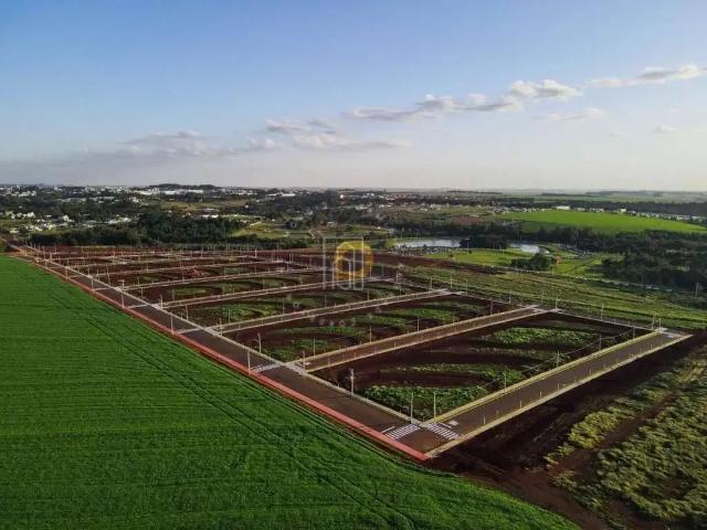 Terreno / Lote para Venda em Toledo/PR Vila Industrial