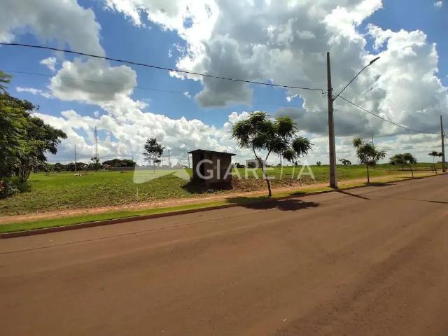 Terreno / Lote para Venda em Toledo/PR Vila Ipiranga
