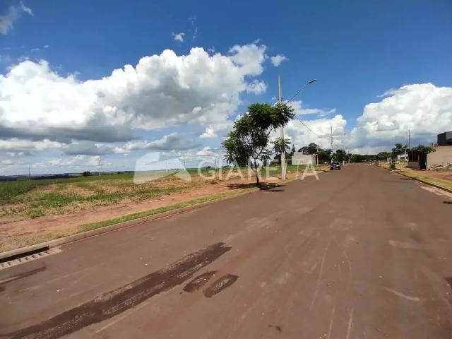 Terreno / Lote para Venda em Toledo/PR Vila Ipiranga