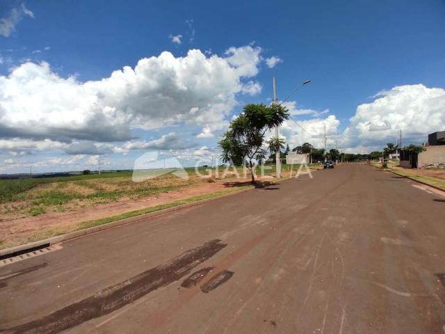 Terreno / Lote para Venda em Toledo/PR Vila Ipiranga
