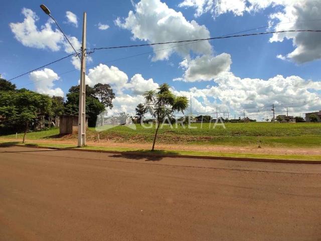 Terreno / Lote para Venda em Toledo/PR Vila Ipiranga