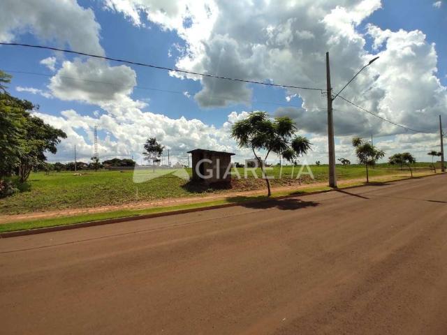 Terreno / Lote para Venda em Toledo/PR Vila Ipiranga