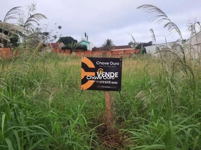 Terreno / Lote para Venda em Toledo/PR Centro
