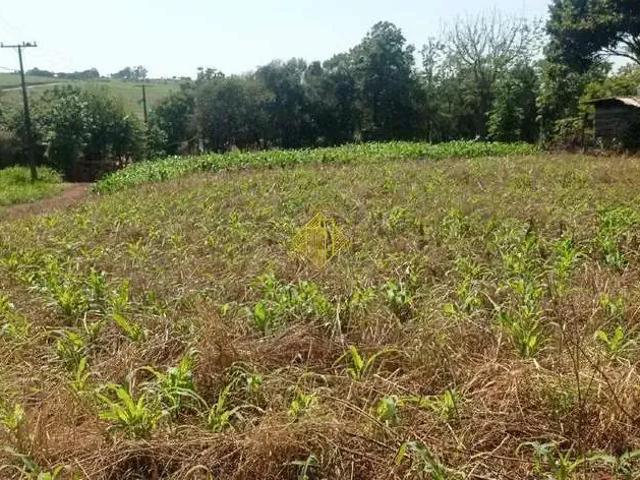 Terreno / Lote para Venda em Toledo/PR Concórdia do Oeste