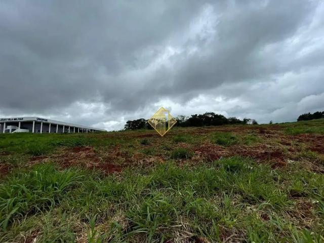 Terreno / Lote para Venda em Toledo/PR Jardim Coopagro