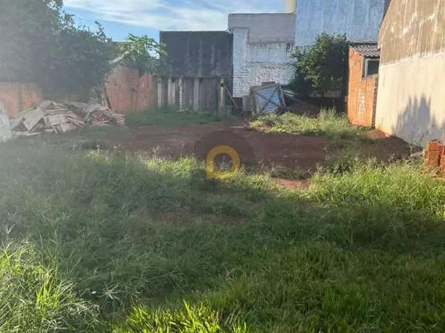 Terreno / Lote para Venda em Toledo/PR Jardim Coopagro