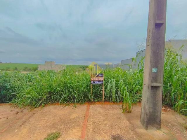 Terreno / Lote para Venda em Toledo/PR Jardim Coopagro