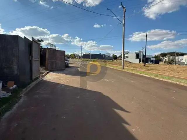 Terreno / Lote para Venda em Toledo/PR Jardim Pancera