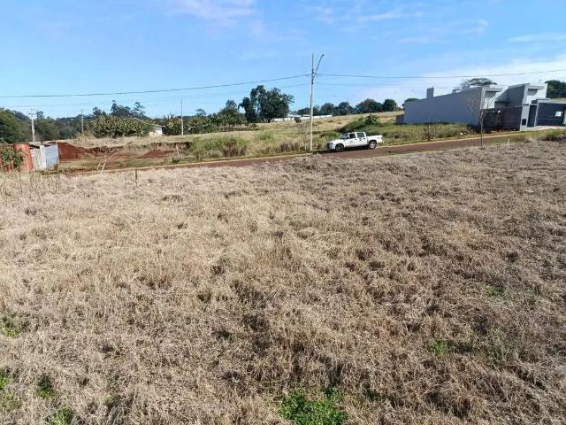 Terreno / Lote para Venda em Toledo/PR Jardim Pancera