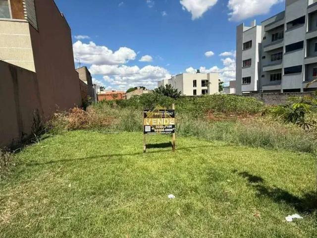 Terreno / Lote para Venda em Toledo/PR Jardim Pancera