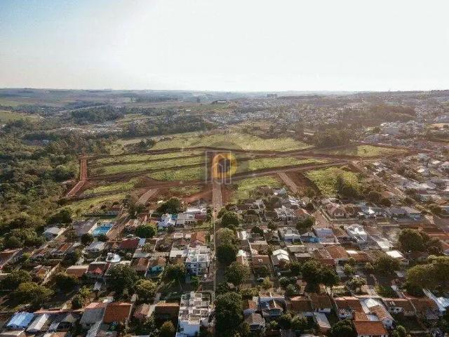 Terreno / Lote para Venda em Toledo/PR Jardim Pancera