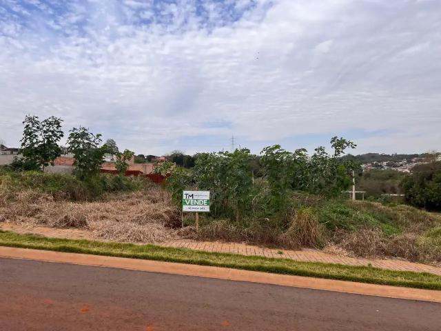 Terreno / Lote para Venda em Toledo/PR Jardim Pancera