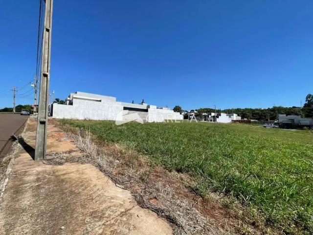 Terreno / Lote para Venda em Toledo/PR Jardim Pancera