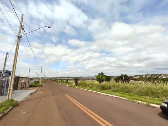 Terreno / Lote para Venda em Toledo/PR Jardim Panorama