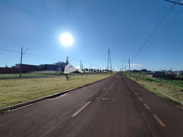 Terreno / Lote para Venda em Toledo/PR Jardim Panorama