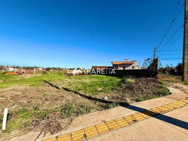 Terreno / Lote para Venda em Toledo/PR Jardim Panorama