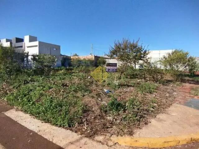 Terreno / Lote para Venda em Toledo/PR Pinheirinho