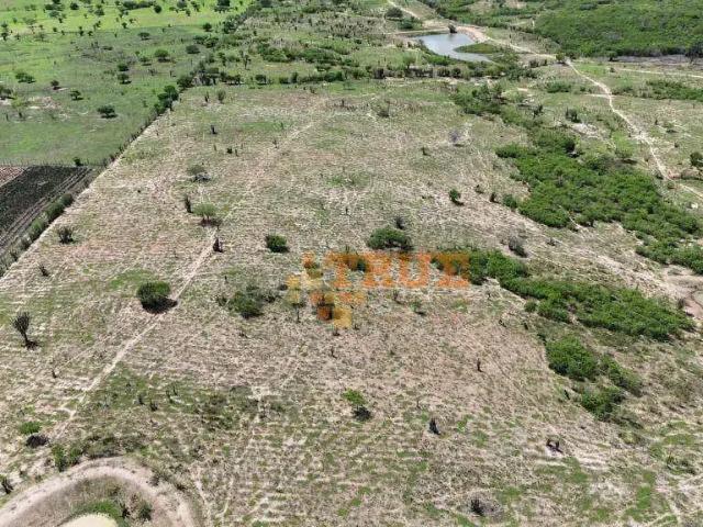 Terreno / Lote para Venda em Toritama/PE Centro