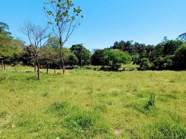 Terreno / Lote para Venda em Torres/RS Campo Bonito