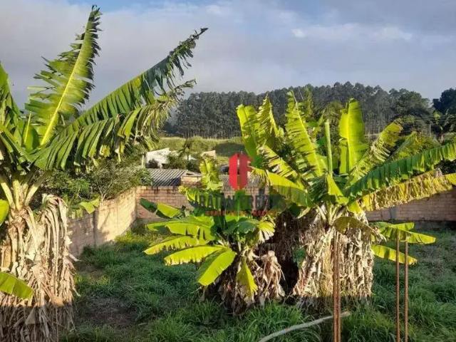 Terreno / Lote para Venda em Torres/RS São Jorge
