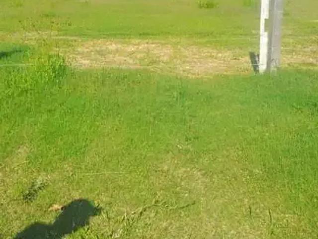 Terreno / Lote para Venda em Tramandaí/RS Tramandaí Sul