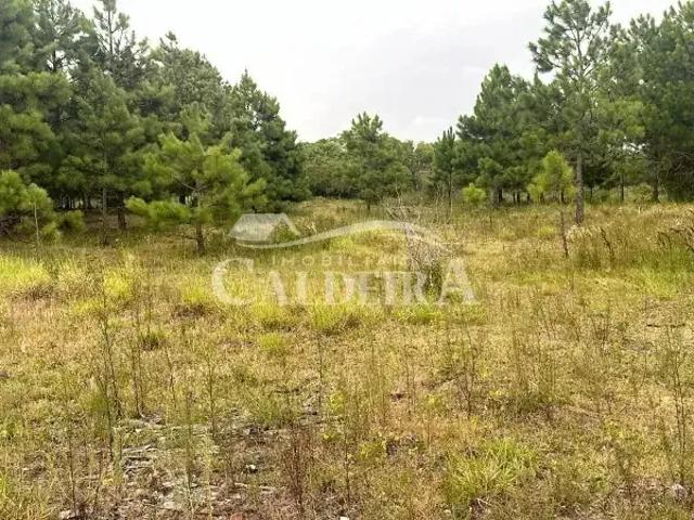 Terreno / Lote para Venda em Tramandaí/RS Aldeia da Lagoa