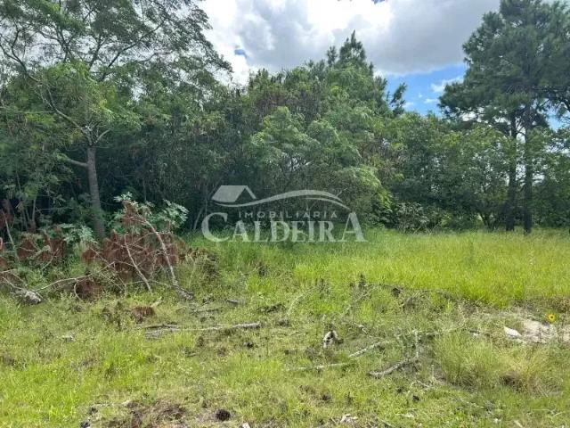Terreno / Lote para Venda em Tramandaí/RS Nova Tramandaí