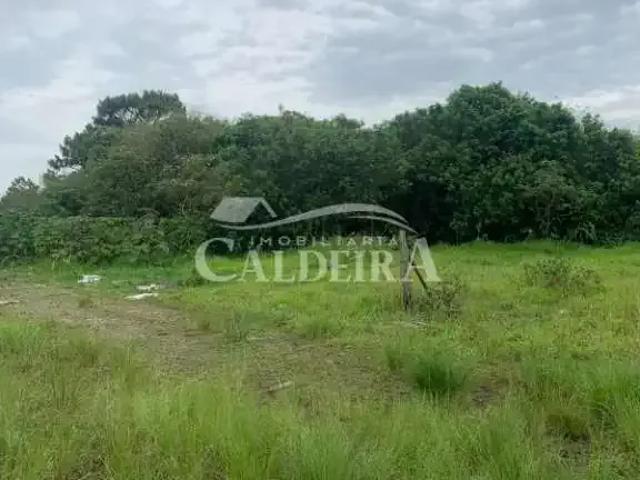Terreno / Lote para Venda em Tramandaí/RS Nova Tramandaí