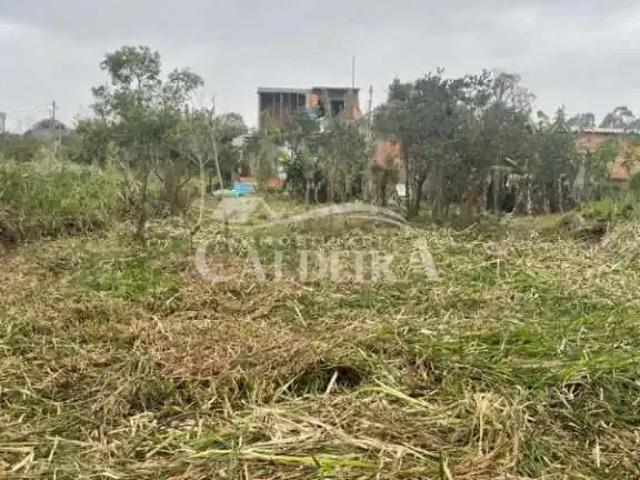 Terreno / Lote para Venda em Tramandaí/RS Nova Tramandaí