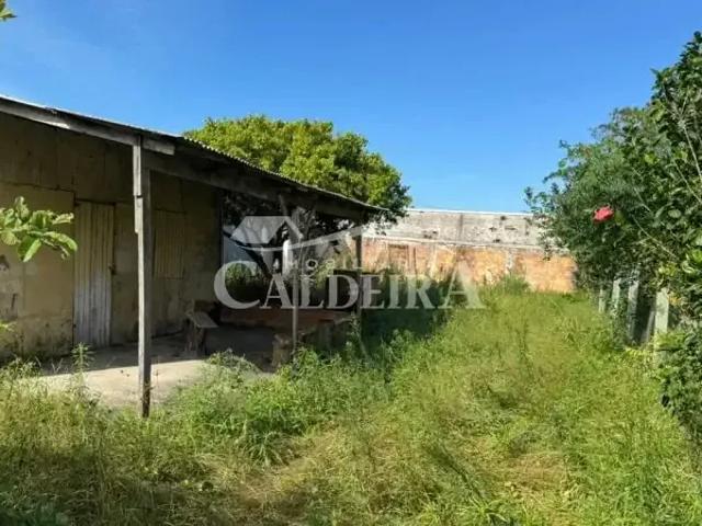 Terreno / Lote para Venda em Tramandaí/RS Nova Tramandaí