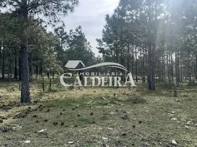 Terreno / Lote para Venda em Tramandaí/RS Nova Tramandaí