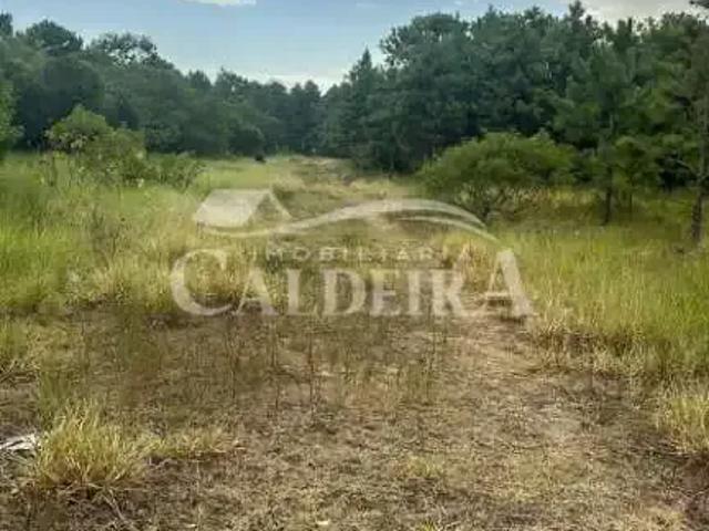 Terreno / Lote para Venda em Tramandaí/RS Nova Tramandaí